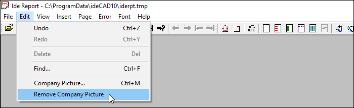 Removing Company Picture in Reports