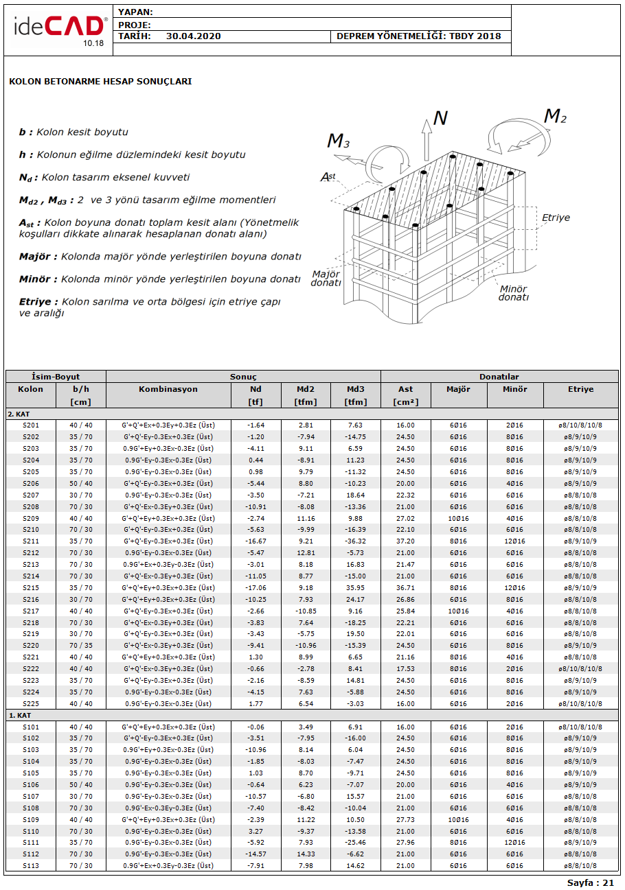 Column Longitudinal Reinforcement Reports