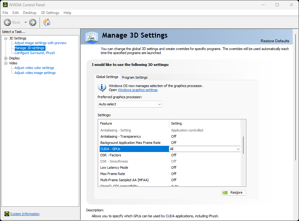 Graphics card acceleration settings on remote desktop